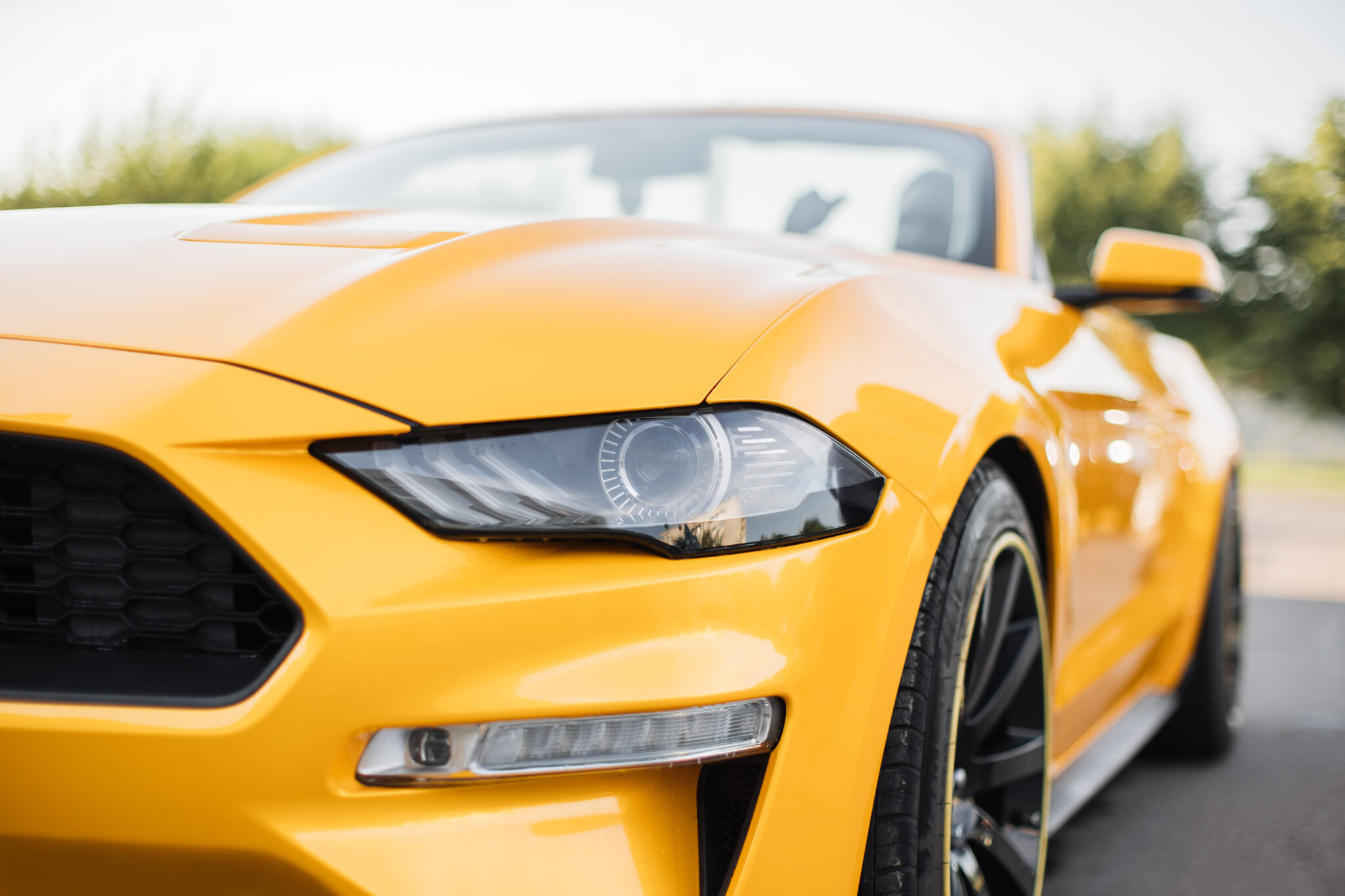 Amsoil Product Catalog Request - The Best Oil